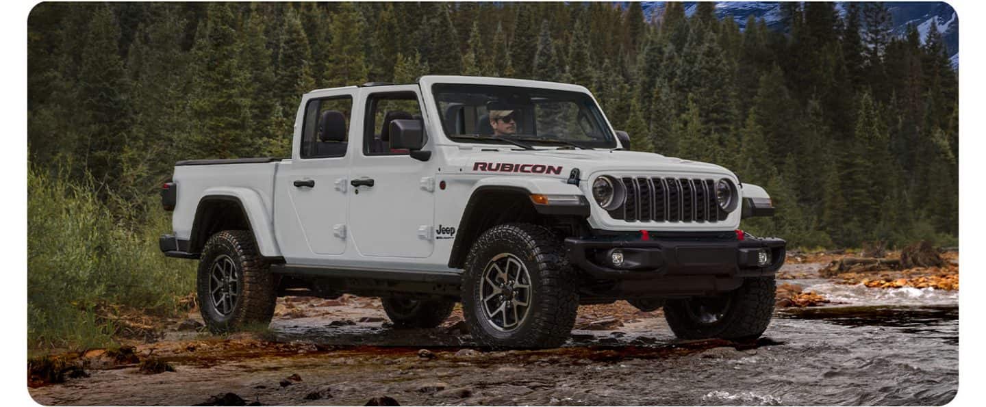 white rubicon gladiator